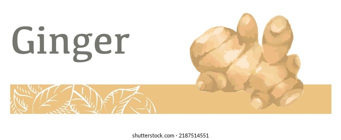 7,406 Ginger label Images, Stock Photos & Vectors | Shutterstock