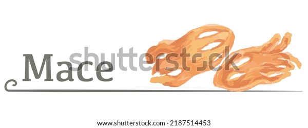 Label Icon Mace Watercolor Vector Illustration Stock Vector (Royalty ...
