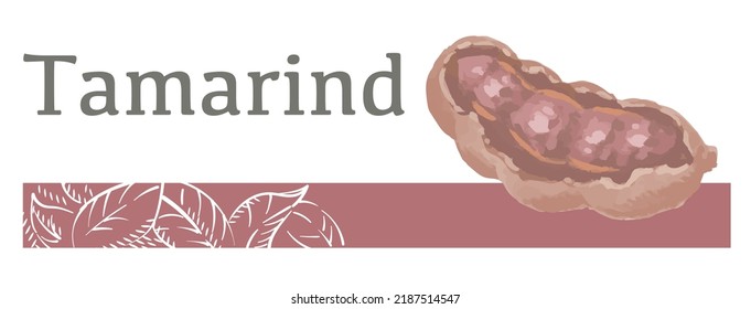 Label Icon Tamarind Watercolor Vector Illustration Stock Vector ...