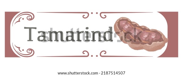Label Icon Tamarind Watercolor Vector Illustration Stock Vector ...