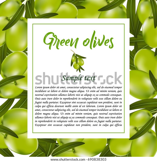 Label Sticker Background Realistic Green Olives Stock Vector (Royalty ...