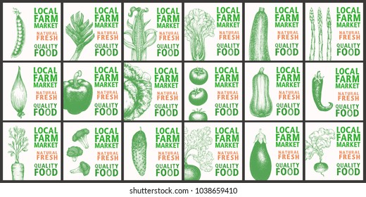 Labels Various Vegetables Set Templates Price Stock Vector (Royalty ...