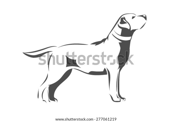 Labrador Body Stock Vector (Royalty Free) 277061219
