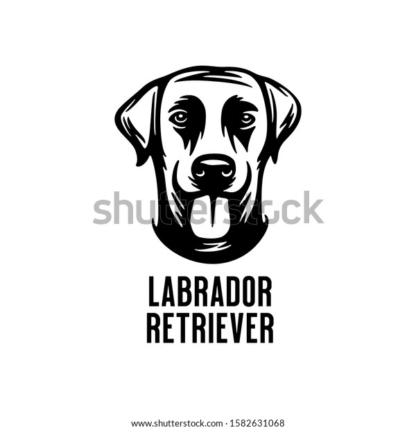 Labrador Retriever Head Drawing Dog Portrait Stock Vector (Royalty Free ...