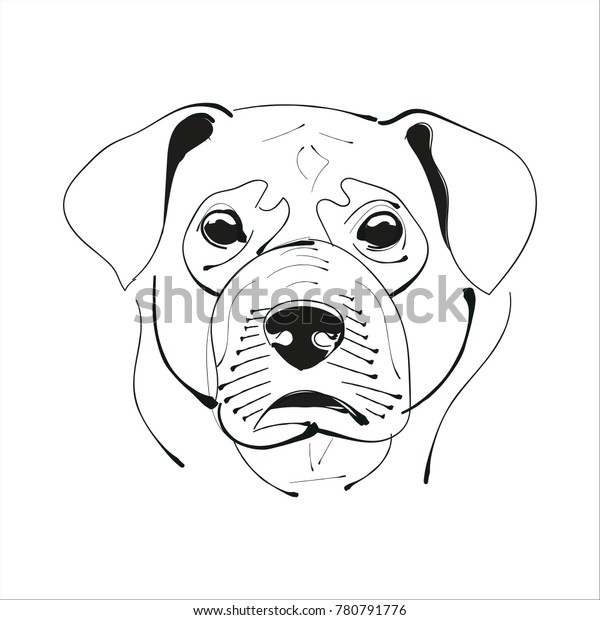 Labrador Retriever Head Vector Hand Drawing Stock Vector (Royalty Free ...