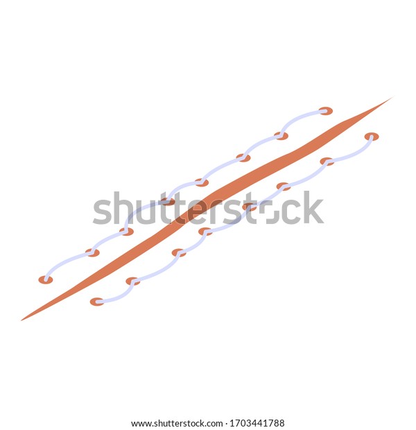 Laceration Suture Icon Isometric Laceration Suture Stock Vector ...