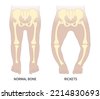 2+ Thousand Rickets Royalty-Free Images, Stock Photos & Pictures ...