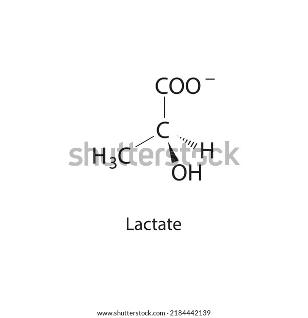 Lactate Chemical Structure On White Background: เวกเตอร์สต็อก (ปลอดค่า ...