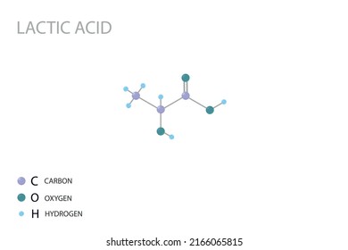 Vektor Stok Lactic Acid Molecular Skeletal 3d Chemical (Tanpa Royalti ...
