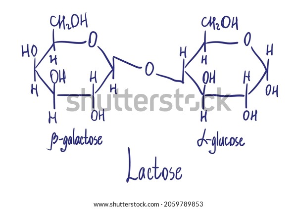 Lactose Chemical Structure Vector Illustration Hand Stock Vector ...