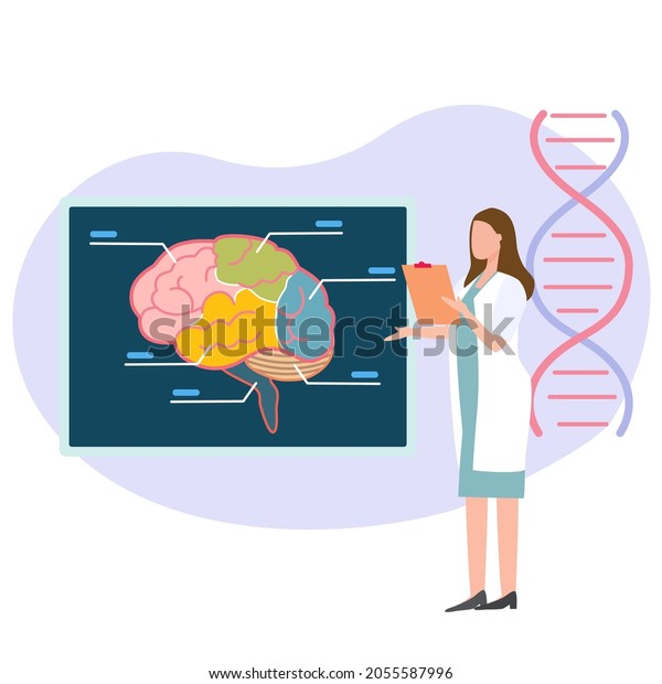 Lady Doctor Standing Explaining About Human Stock Vector (Royalty Free ...