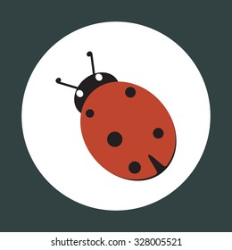 Ladybird Icon Vector Design Stock Vector (Royalty Free) 328005521 ...