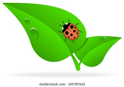 Unique Ladybug Logo Template Green Leaf Stock Vector (Royalty Free ...