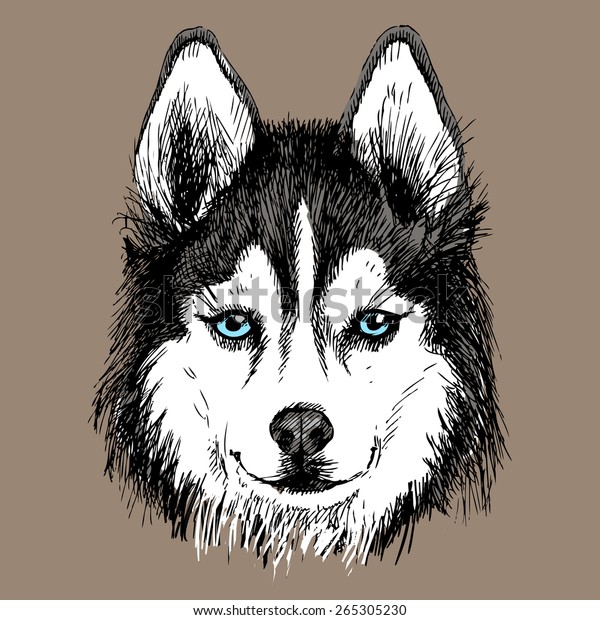 Laika Vector Hand Drawn Illustration Stock Vector (Royalty Free) 265305230