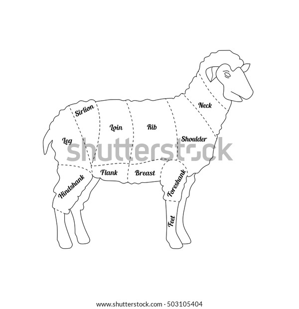 Lamb Meat Thin Line Farm Animal Stock Vector (Royalty Free) 503105404