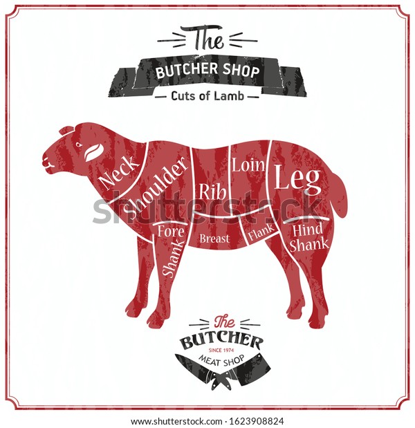Lamb Mutton Cuts Diagram Butcher Shop Stock Vector (Royalty Free ...