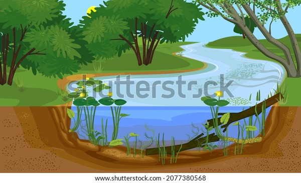 548 Cross Section Lake Images, Stock Photos & Vectors | Shutterstock
