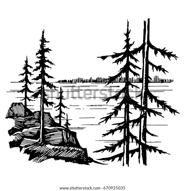 Landscape Lake Spruce Forest Sketch Inkdrawn Stock Vector (Royalty Free ...