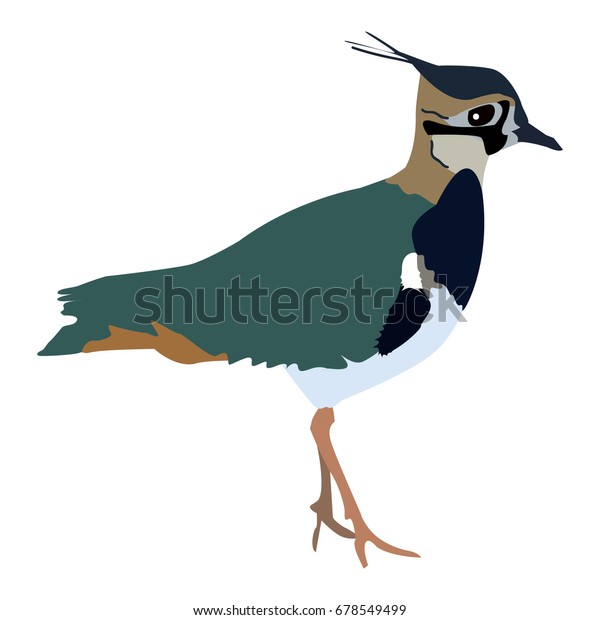 Lapwing Logo Icon Symbol Stock Vector (Royalty Free) 678549499 ...
