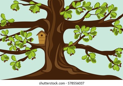 Large Curved Oak Tree Leaves Acorns: vector de stock (libre de regalías ...