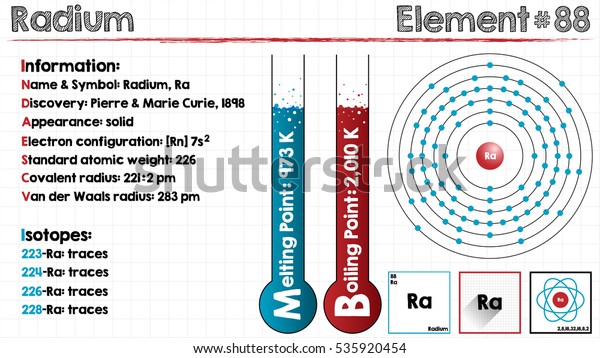 Large Detailed Infographic Element Radium Stock Vector (Royalty Free ...
