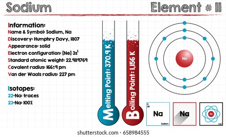 Vektor Stok Large Detailed Infographic Element Sodium (Tanpa Royalti ...