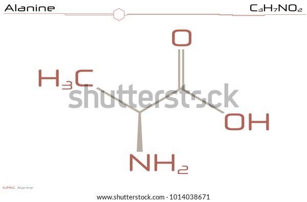 Large Detailed Infographic Molecule Alanine Stock Vector (Royalty Free ...