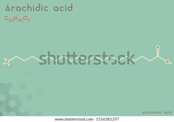 Large Detailed Infographic Molecule Arachidic Acid Stock Vector ...