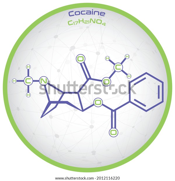 Large Detailed Infographic Molecule Cocaine Stock Vector (Royalty Free ...