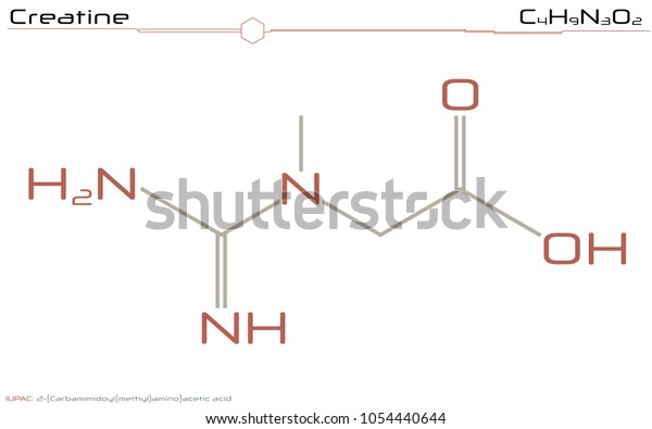 Large Detailed Infographic Molecule Creatine: เวกเตอร์สต็อก (ปลอดค่า ...