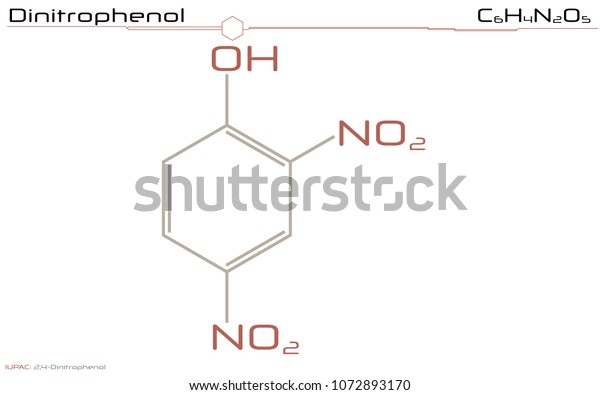 Large Detailed Infographic Molecule Dinitrophenol Stock Vector (Royalty ...