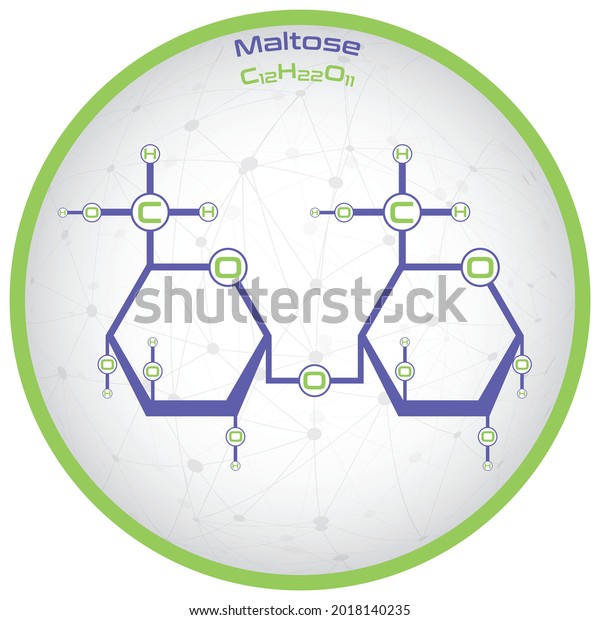 Large Detailed Infographic Molecule Maltose Stock Vector (Royalty Free ...