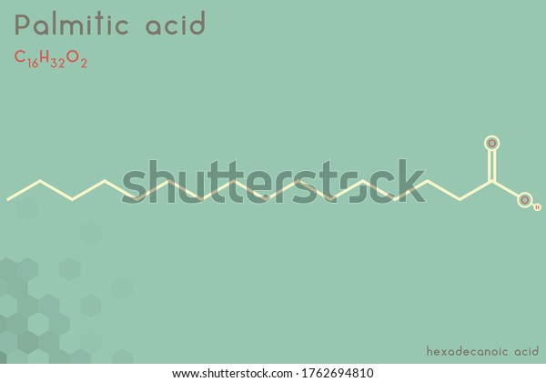 Large Detailed Infographic Molecule Palmitic Acid Stock Vector (Royalty ...