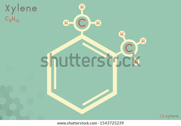 Large Detailed Infographic Molecule Xylene 库存矢量图（免版税）1543725239 ...