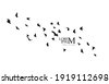 34+ Thousand Crows Flying Royalty-Free Images, Stock Photos & Pictures ...