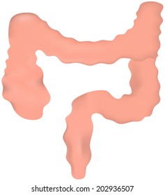 91 Bolus (digestion) Images, Stock Photos & Vectors | Shutterstock