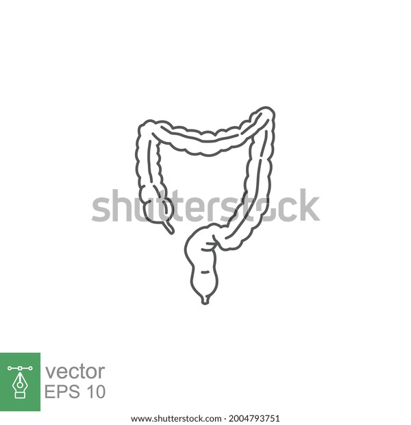 Large Intestine Icon Filled Outline Intestines Stock Vector (Royalty ...
