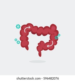 Large Intestine Vector Illustration Stock Vector (Royalty Free ...