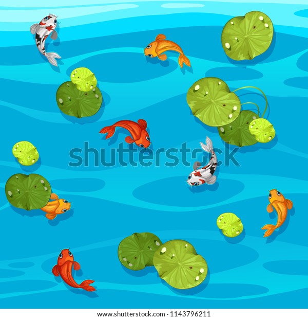 Large Koi Fish Pond Illustration Stock Vector (Royalty Free) 1143796211 ...