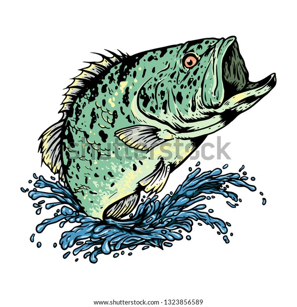 Large mouth Bass fish vector design. Big bass fish illustration ...