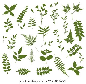 Large Set Leaves Stems Stock Vector (Royalty Free) 2195916791 ...
