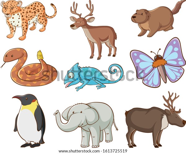 Large Set Wildlife Many Types Animals Stock Vector (Royalty Free ...