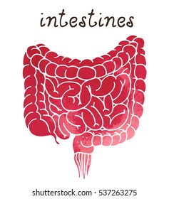 658 Vintage intestine Images, Stock Photos & Vectors | Shutterstock