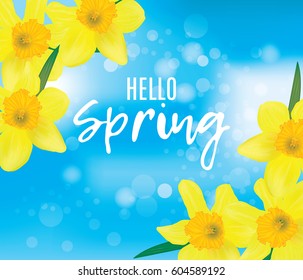 Large Yellow Daffodils Corners Hello Spring Stock Vector (Royalty Free ...