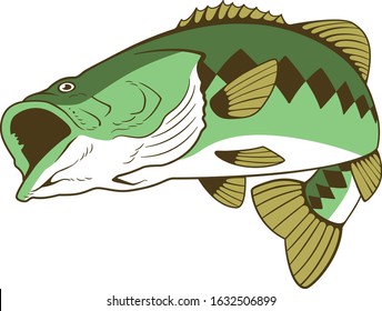 Largemouth Bass Fish Vector: vector de stock (libre de regalías ...