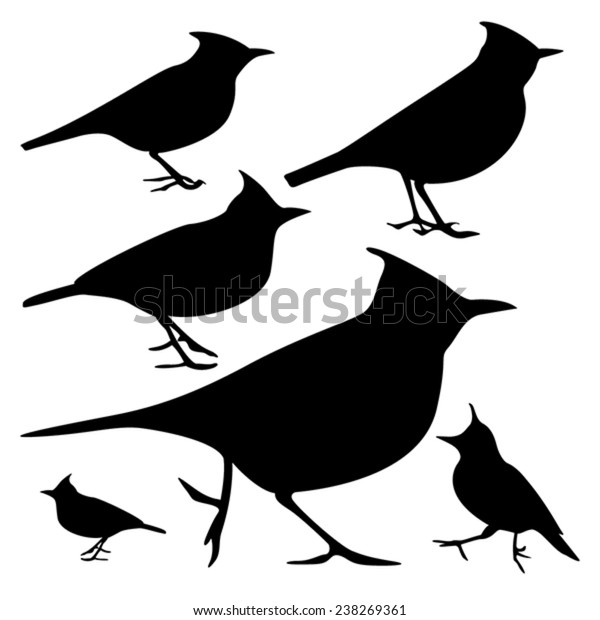 Lark Silhouette Collection Stock Vector (Royalty Free) 238269361 ...