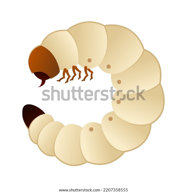 Larva Grub Vector Illustration Logo Icon Stock Vector (Royalty Free ...