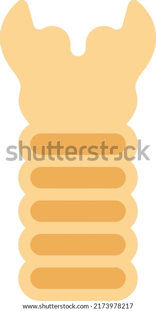 Larynx Vector Illustration On Transparent Backgroundpremium: เวกเตอร์ ...