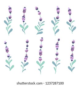 Beautiful Lavender Pattern Seamless Background Vector Stock Vector ...