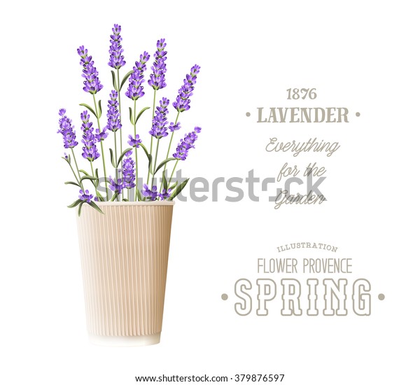 Lavender Sign Label Stock Vector (Royalty Free) 379876597 | Shutterstock